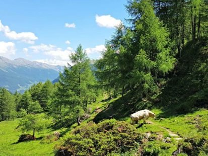 The best places to visit in Austria in summer + what to do