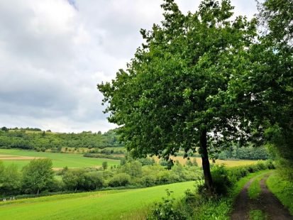 3 Days in the Eifel Volcano Region: What to Do and See
