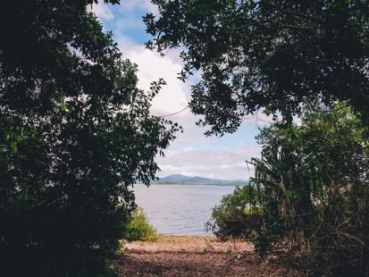 6 Fun Things to Do at Cape Hillsborough, Queensland