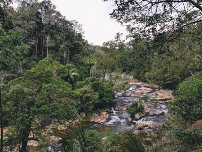 Eungella National Park walks and platypus viewing in AUS